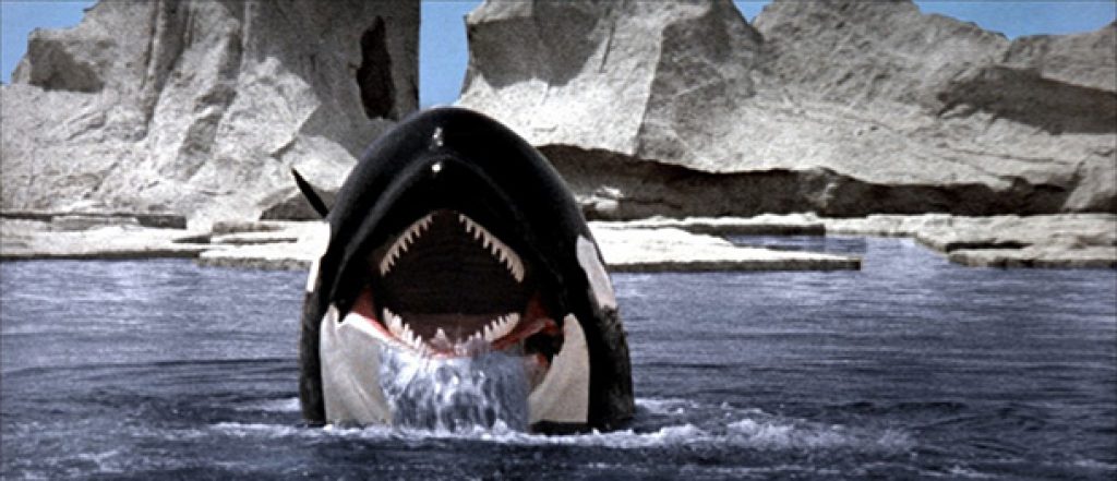 Review: Orca - 60 Minutes With